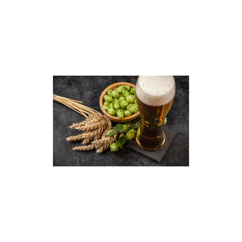 Pression - Ipa Pinte - 50 Cl