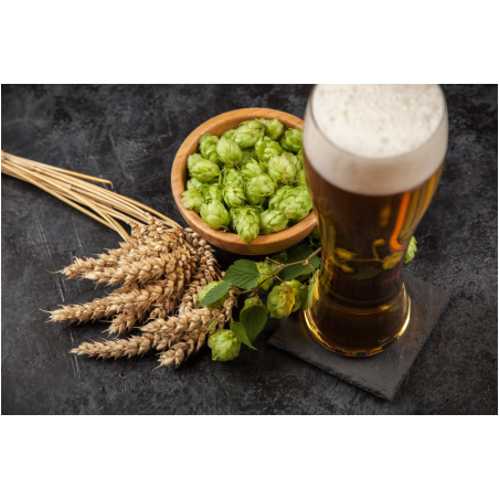 Pression - Ipa Pinte - 50 Cl